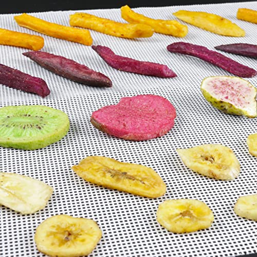 Auroal 10 Pack Silicone Dehydrator Sheets, Apply to dehydrator & Freeze Dryer, Non Stick Dryer Mats, for Meat, Beef, Jerky, Herbs, with High Temperature Resistance Easy to Clean, Square 14x14 in