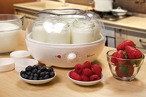 Euro Cuisine BM-QSHL-PFKK YM100 Automatic Yogurt Maker, 9.5 Inch, white