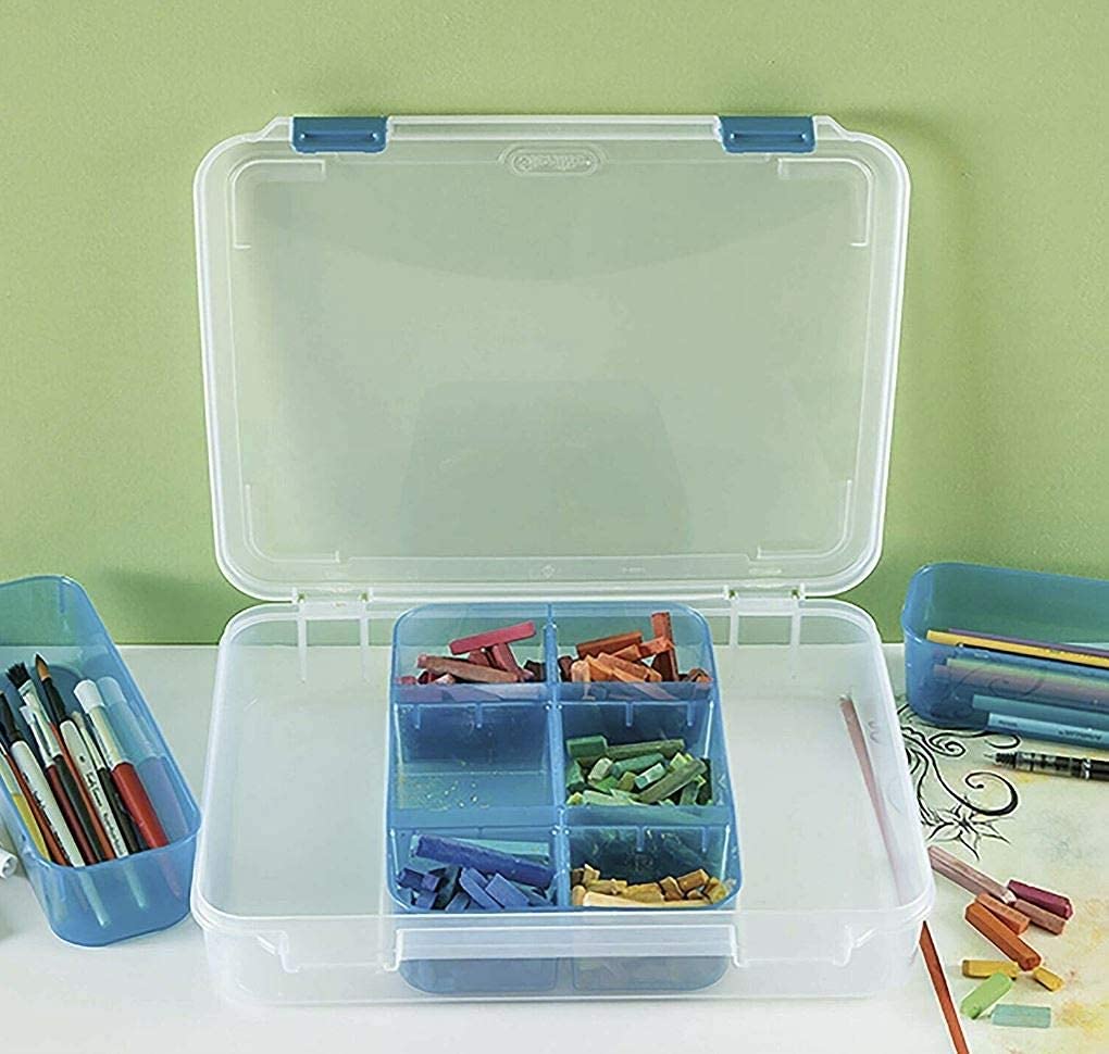 Sterilite 14028606 Divided Storage Case, Capacity: 10 lb /4.5 kg, Blue