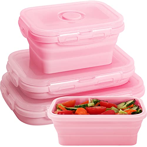 Collapsible Silicone Food Storage Containers with Lids,Set of 3 Silicone Lunch Box Containers,Foldable Meal Prep Container for Kitchen,Microwave & Dishwasher & Freezer Safe,BPA Free