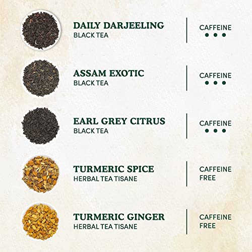 VAHDAM, Assorted Loose Leaf Tea Sampler - 10 Teas, 50 Servings | Tea Variety Pack - Black Tea, Green Tea, Oolong Tea, Chai Tea, White Tea | Brew as Hot/Iced Tea, Kombucha Tea