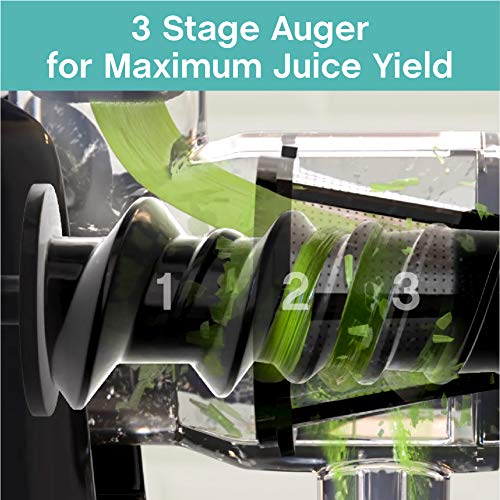 West Bend Juicer Cold Press Masticating Extractor Machine Features Quiet Motor Anti-Clog Reverse Function Nutrient Preserving For Juicing Fruits Vegetables and All Greens, 150-Watts, Silver