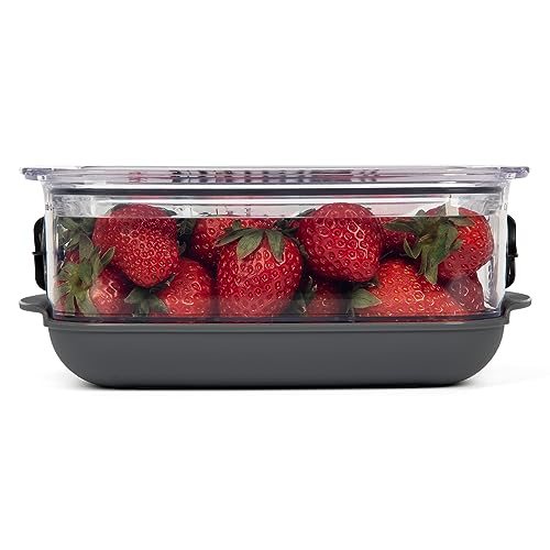 ProKeeper+ by Progressive Stackable Produce ProKeeper Storage Container with Stay-Fresh Vent System (PKS-912 (1.2 qt Berry Keeper))