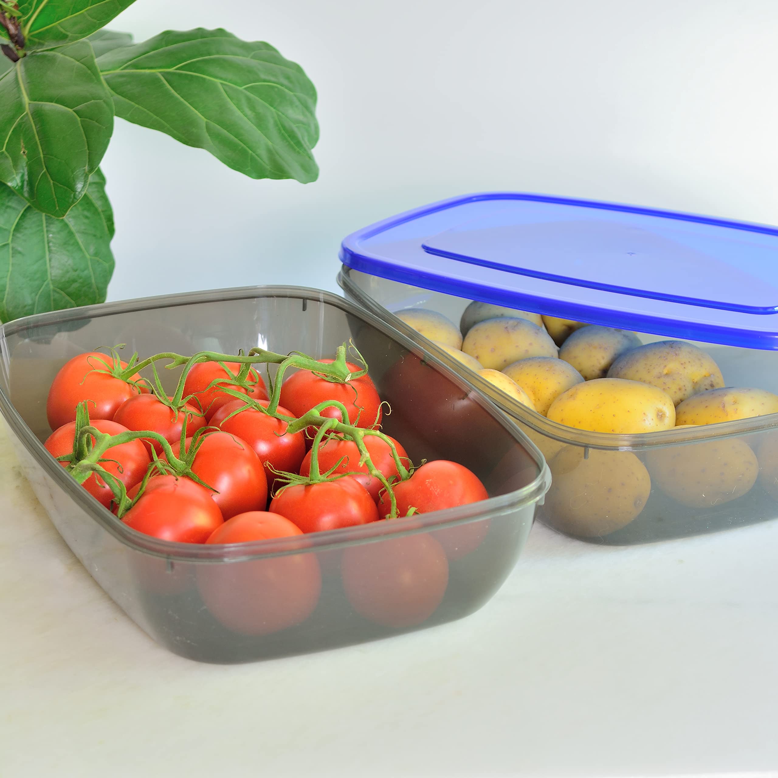 Youngever 2 Pack 1.5 Gallon Large Food Storage Container Boxes, Large Food Storage, Reusable Plastic Large Meal Prep Containers