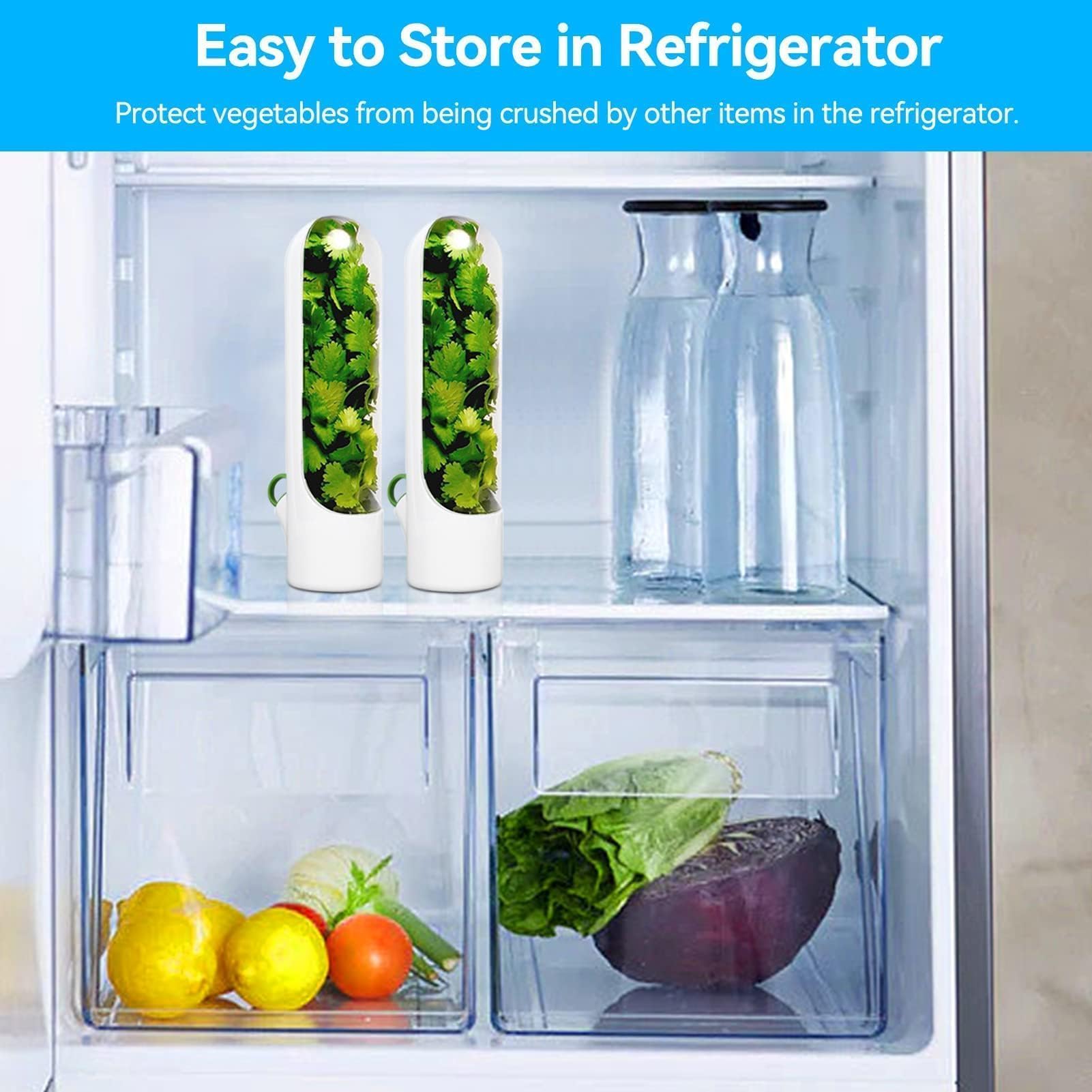Fresh Herb Keeper for Refrigerator, 2PCS Cilantro Fresh Container Herb Savor Pod Herb Keeper and Herb Saver Fruit Containers Transparent Vegetable Preservation Bottle Kitchen Storage Cup for Cilantr