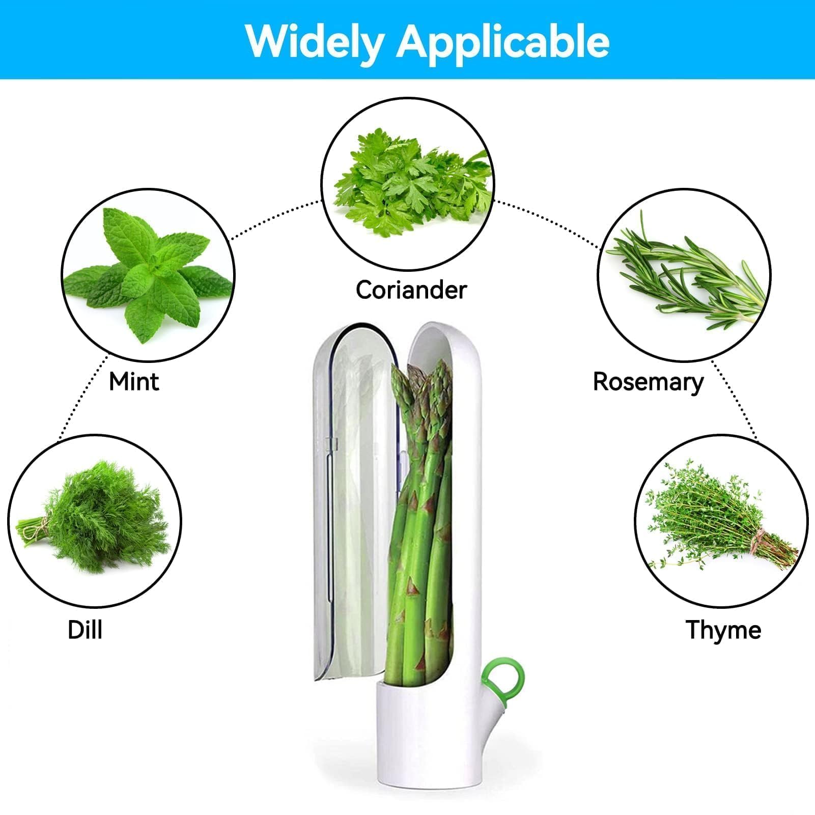 Fresh Herb Keeper for Refrigerator, 2PCS Cilantro Fresh Container Herb Savor Pod Herb Keeper and Herb Saver Fruit Containers Transparent Vegetable Preservation Bottle Kitchen Storage Cup for Cilantr