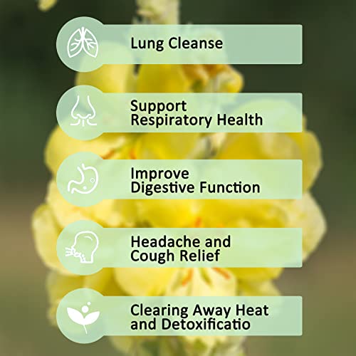 Organic Mullein Leaf Tea Lung Detox Cleanse Tea, 20 Tea Bags