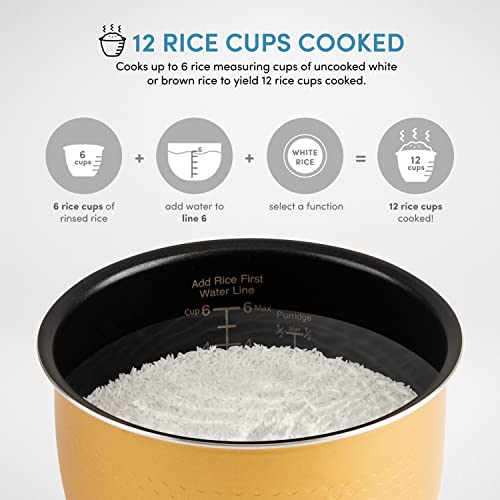 Aroma Housewares ARC-6106 Aroma Professional 6 Cups Uncooked Rice, Slow Cooker, Food Steamer, MultiCooker, Champagne