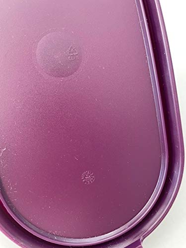 Tupperware Dewberry Oval Seal for Modular Mates, Bold Oval, Food Storage Container Seal, 7 inches (L) x 3.5 inches (W) x 3.5 inches (H), 1 Count