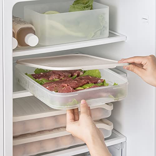 Poeland Food Storage Containers Dumpling Organizer Transparent Food Storage Box for Kitchen and Fridge