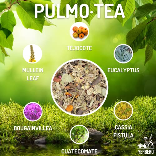 Yerbero - PulmoTea 4 oz (113g) | Herbal Mixture Tea - Soothes/Comforts Thoat | Eucalyptus, Tejocote Root, Mullein Leaf, Bouganvillia Flower, Cassia Fistula, Cuatecomate | 100% All Natural, non-GMO, Gluten-free.