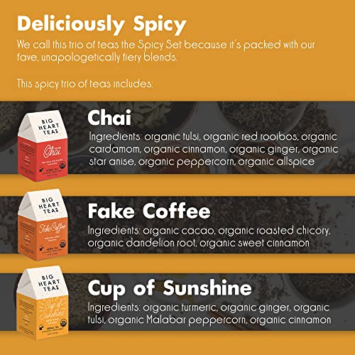 Big Heart Tea Co. Spicy Tea Bags Gift Set - Certified Organic, Ayurvedic Herbal Tea - Small Batch Ground Herbs, Spices in Zero Plastic Sachets - Healthy Tea Variety Box - 3 Flavors, 30 Pack