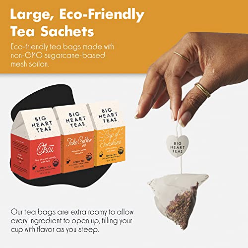 Big Heart Tea Co. Spicy Tea Bags Gift Set - Certified Organic, Ayurvedic Herbal Tea - Small Batch Ground Herbs, Spices in Zero Plastic Sachets - Healthy Tea Variety Box - 3 Flavors, 30 Pack