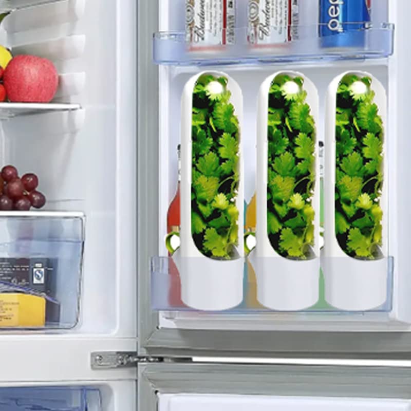 Cilantro Containers For Refrigerator,herb Saver,herb Keeper,glass Storage Containers Vegetable Storage Containers For Refrigerator Keeps Greens Fresh For 2-3 Weeks