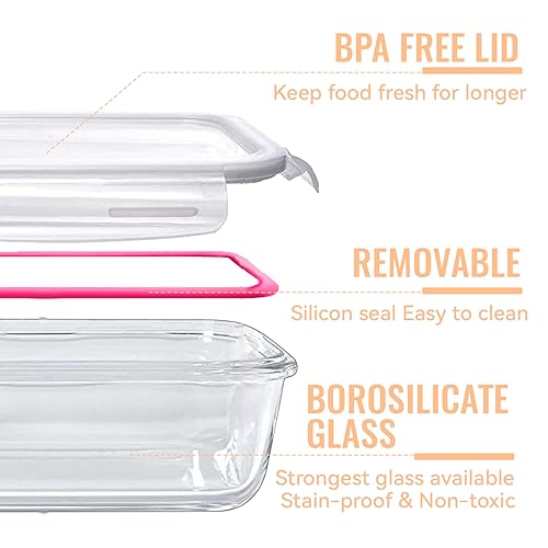 FILTA 4 Pack Glass Food Storage Containers with Lids: Glass Meal Prep Containers For Lunch,Leftover,Dishwasher Safe
