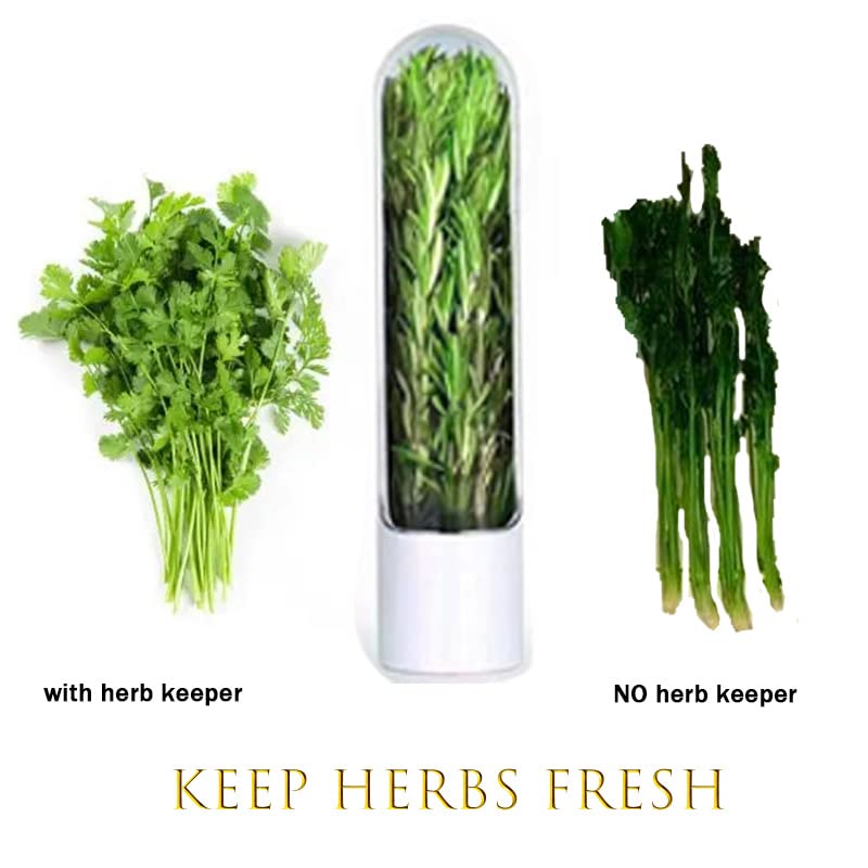 Cilantro Containers For Refrigerator,herb Saver,herb Keeper,glass Storage Containers Vegetable Storage Containers For Refrigerator Keeps Greens Fresh For 2-3 Weeks
