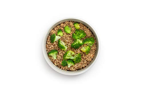 Lekue Microwave Rice, Grain & Quinoa Cooker, one size, Green