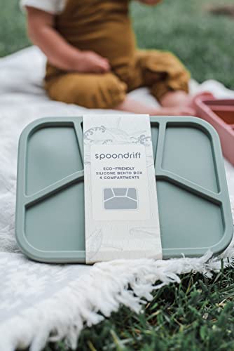 Spoondrift Eco-Friendly Leak Proof Silicone Bento Box Lunch Box, For Child And Adult, 4 Compartment, Choose from 6 Colors, Includes one box (Sage)