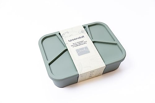 Spoondrift Eco-Friendly Leak Proof Silicone Bento Box Lunch Box, For Child And Adult, 4 Compartment, Choose from 6 Colors, Includes one box (Sage)