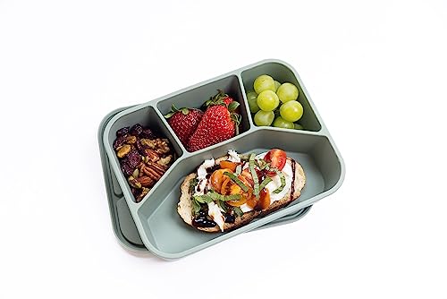 Spoondrift Eco-Friendly Leak Proof Silicone Bento Box Lunch Box, For Child And Adult, 4 Compartment, Choose from 6 Colors, Includes one box (Sage)