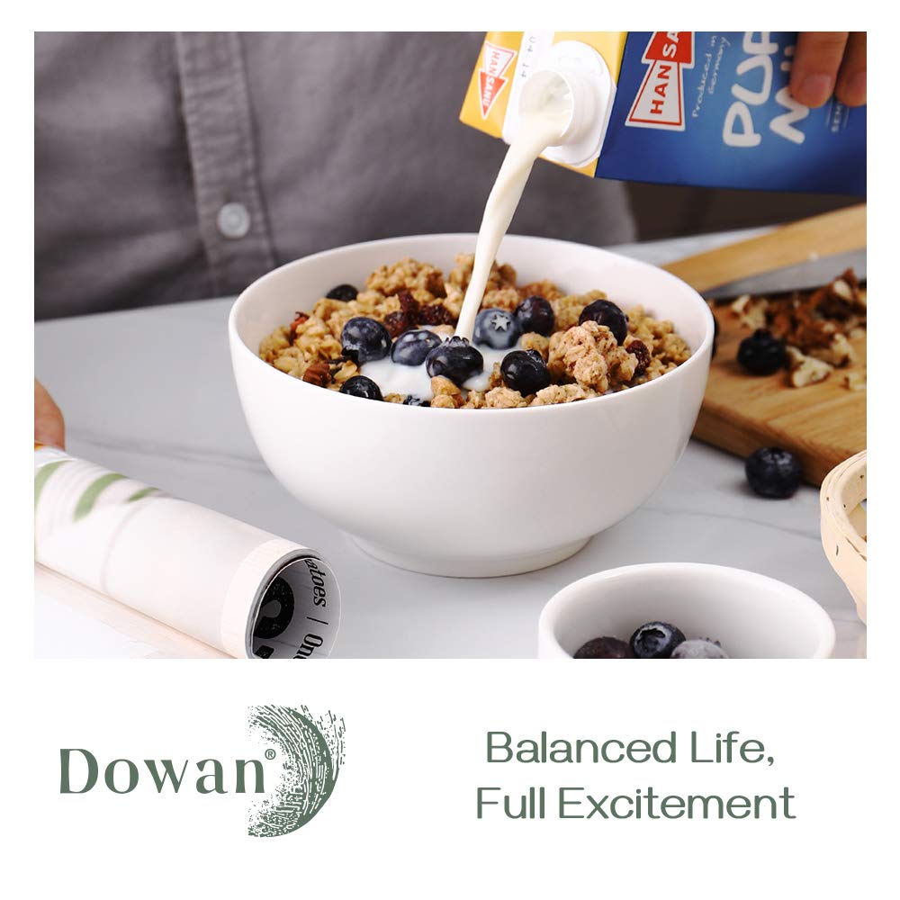 DOWAN Ceramic Soup Bowls, Cereal Bowl, 22 Ounce Bowls Set, Chip Resistant, Dishwasher & Microwave Safe, Porcelain Bowls for Kitchen, White Bowls for Cereal Soup Rice Pasta Salad Oatmeal, Set of 4
