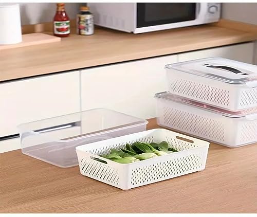 Large Size Food Storage & Fresh Produce Container with Built-in Removable Strainer - Fresh Produce Saver - BPA-Free, Leak-Proof Lid (Large)