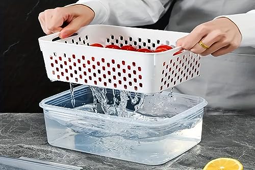 Large Size Food Storage & Fresh Produce Container with Built-in Removable Strainer - Fresh Produce Saver - BPA-Free, Leak-Proof Lid (Large)