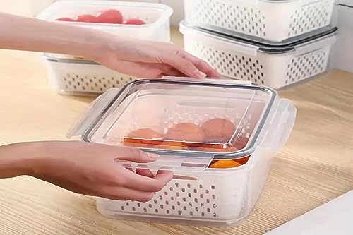Large Size Food Storage & Fresh Produce Container with Built-in Removable Strainer - Fresh Produce Saver - BPA-Free, Leak-Proof Lid (Large)