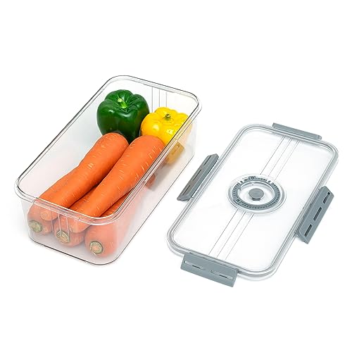 Vacream Vegetable and Fruit Storage Containers for Fridge Organizer Refrigerator,refrigerator organizer bins(Va-Stackable-Grey)