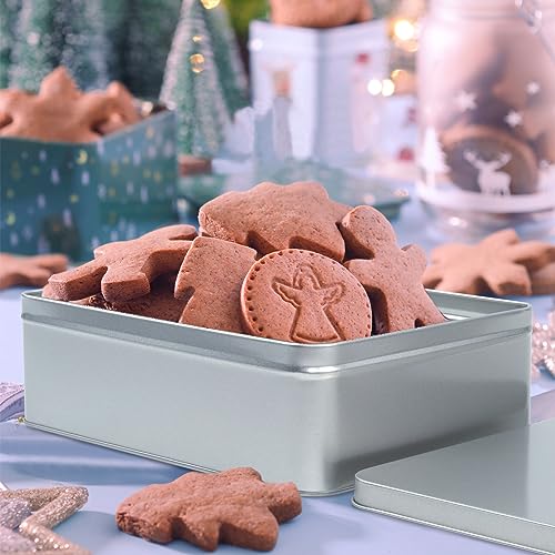 Empty Metal Tins Box with Lid,6 Pack Stainless steel Tins Cans Storage Container for Treats, Gifts, Candle, Favors and Crafts, Silver (7 x 4.3 x 2.2 Inches)