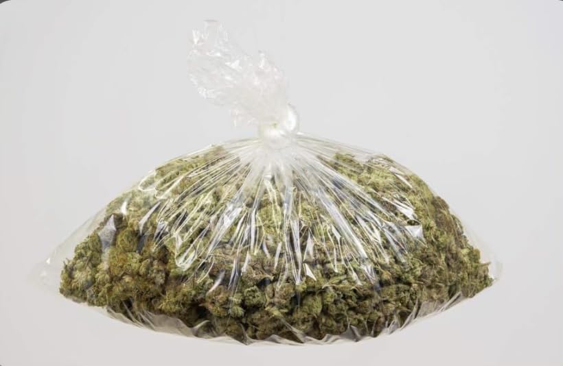 Uncle Green Multipurpose Turkey Bags -19" x 24.5"-100 bags per box