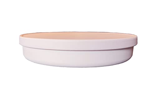Jordy SUPPLY CO. Silicone Food Plate with Lid, Non-Slip, Serving, Mixing and Eating, Great for Travel (Pale Mauve)
