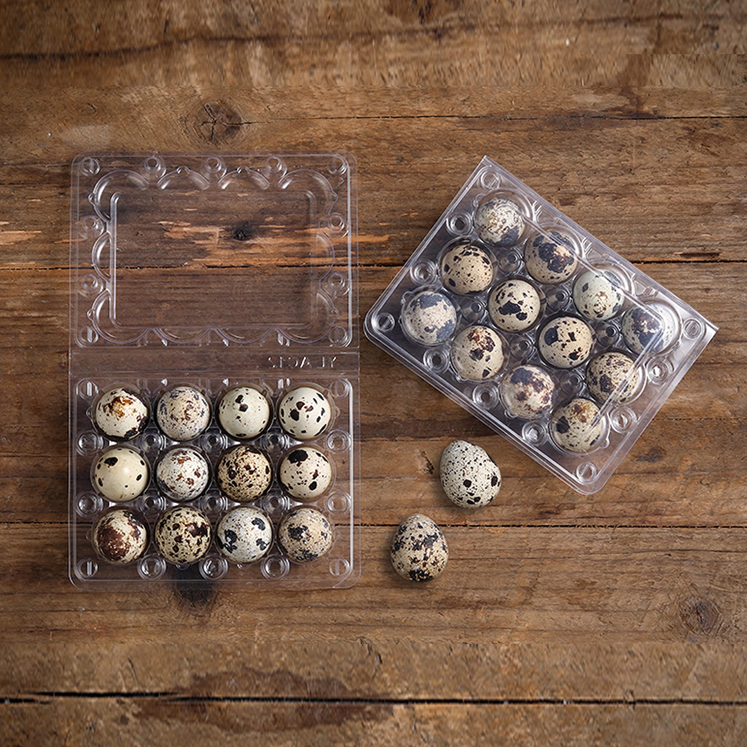 LayHyand 60 Pcs Quail Egg Cartons, Square Dozen Egg Boxes, Classical 3x4 Style Holds Up to Twelve 12 Count Small Quail Eggs Basket, Pigeon Eggs, Bulk Carton Quail Egg Tray Container for Refrigerator