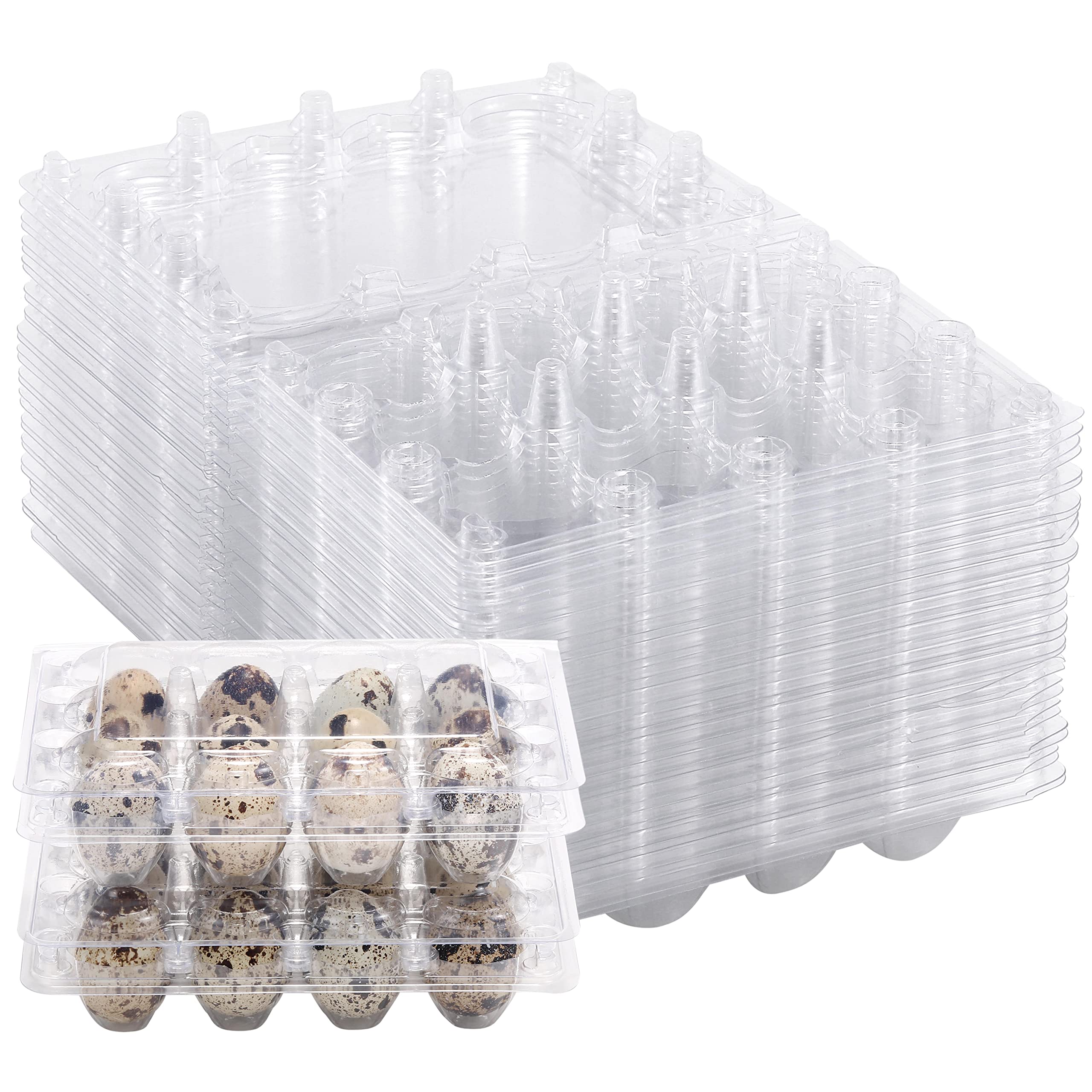 LayHyand 60 Pcs Quail Egg Cartons, Square Dozen Egg Boxes, Classical 3x4 Style Holds Up to Twelve 12 Count Small Quail Eggs Basket, Pigeon Eggs, Bulk Carton Quail Egg Tray Container for Refrigerator