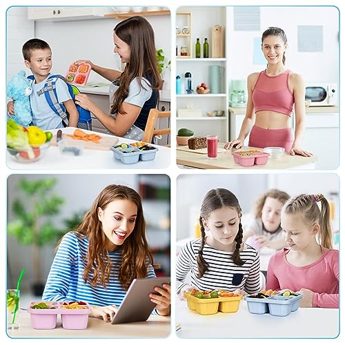 6 Pack Snack Containers, 4 Compartment Divided Snack Container for Kids, Bento Snack Box for Adults, Reusable Meal Prep Lunch Containers with Compartments, Small Bento Box for Work Travel