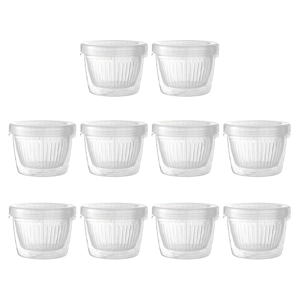 LUOZZY 10Pcs Food Storage Containers with Lids Fruit Keeper Box Containers Double-layer Draining Box for Vegetable Storage, Fresh Fruits, Salad