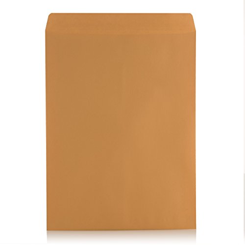 9 X 12 Self-Seal Brown Kraft Catalog Mailing Envelopes - 28lb - 250 Count, 9x12 Inch (38302)
