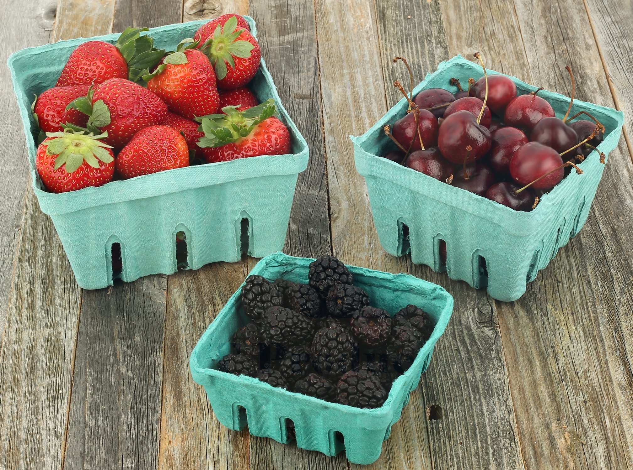 MT Products Green Berry Basket 1 Pint - Molded Pulp Fiber Vented Produce Basket (Pack of 15) - Made in the USA