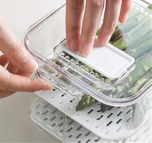 blitzlabs Vegetable Fruit Storage Containers, Fresh Produce Saver Refrigerator Storage Containers with Lids and Vents,Stackable Salad Lettuce Keeper,Stay Fresh Cabinet Containers Bin
