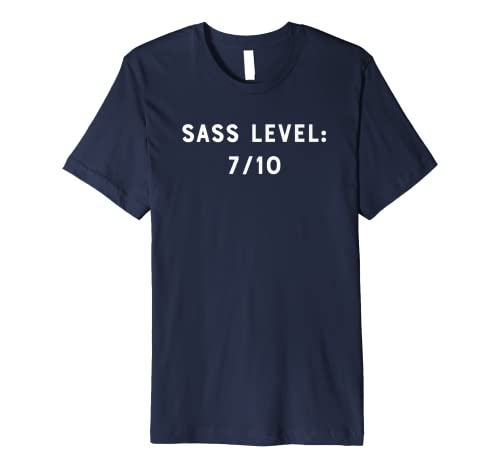 Sass Level: 7/10 A Slob Comes Clean Premium T-Shirt