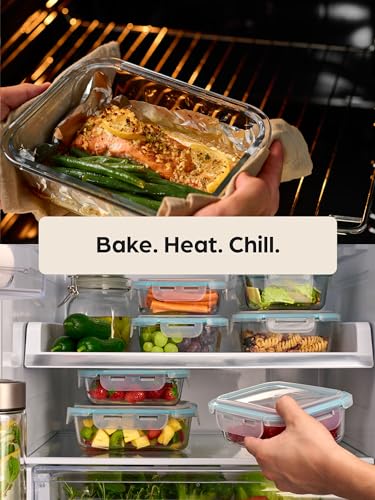 Praknu Meal Prep Storage Container - Pack of 4 - BPA Free - Leak Proof - Dishwasher Safe - Glass Storage Containers with Lids (50oz, 34oz, 17oz, 10oz)