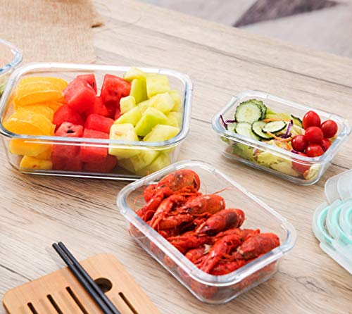 Praknu Meal Prep Storage Container - Pack of 4 - BPA Free - Leak Proof - Dishwasher Safe - Glass Storage Containers with Lids (50oz, 34oz, 17oz, 10oz)