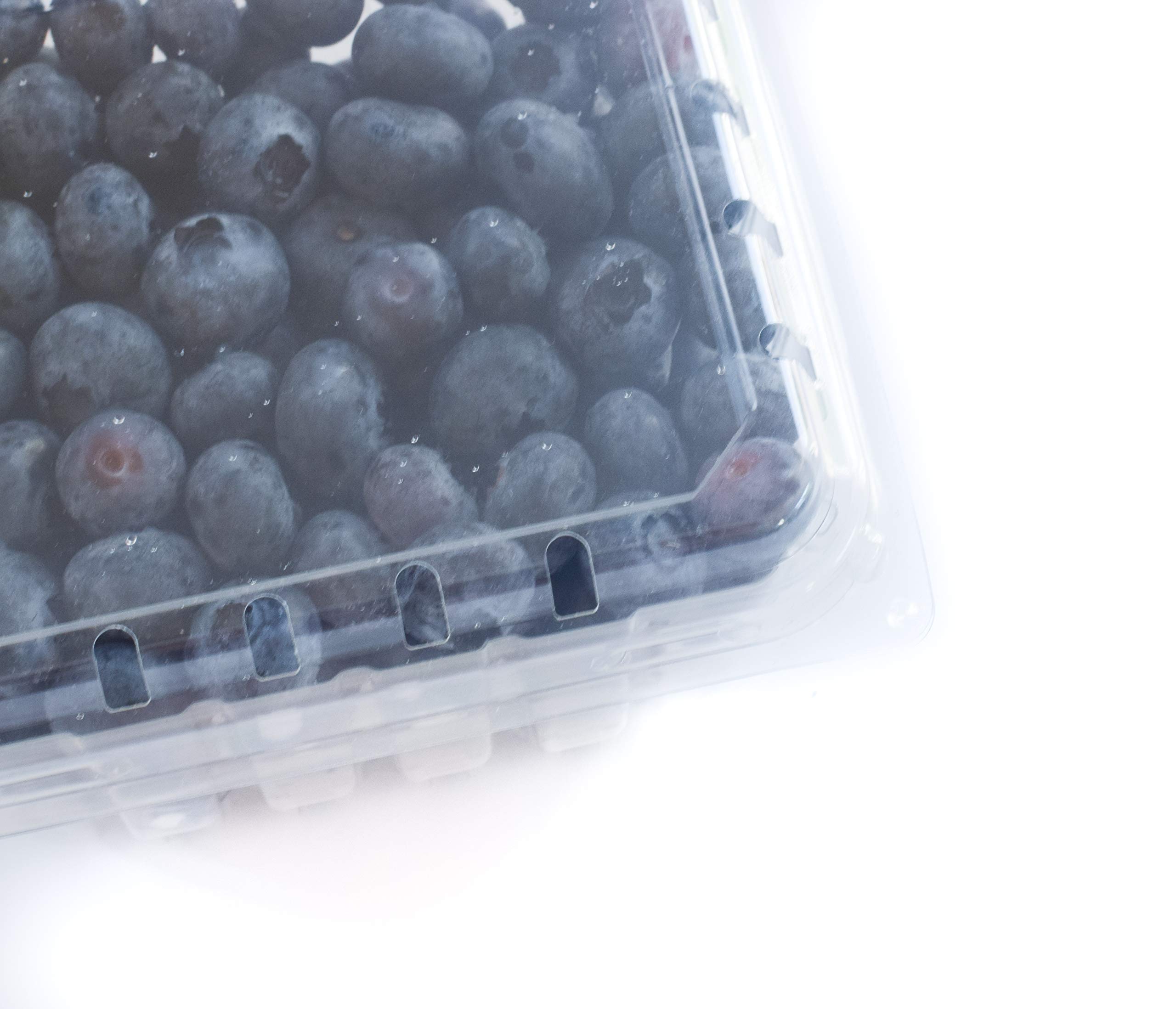 35 PACK - Plastic Berry Basket/Produce Containers - Pint Size for Blueberries, Raspberries, Strawberries