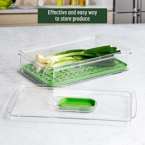 Goodful Produce Keeper, Adjustable Air Vents, Removable Insert/Colander, Durable Food Safe Material, Stackable, Clear and Green, Flat, 11.6" x 6.8" x 2.8"