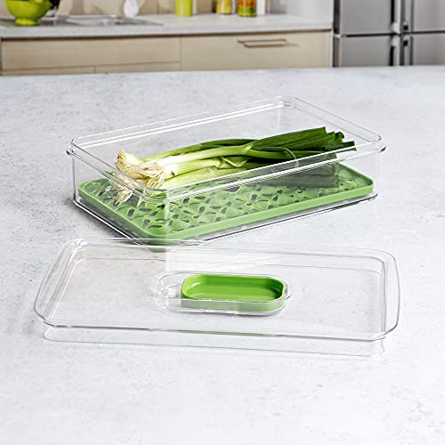Goodful Produce Keeper, Adjustable Air Vents, Removable Insert/Colander, Durable Food Safe Material, Stackable, Clear and Green, Flat, 11.6" x 6.8" x 2.8"