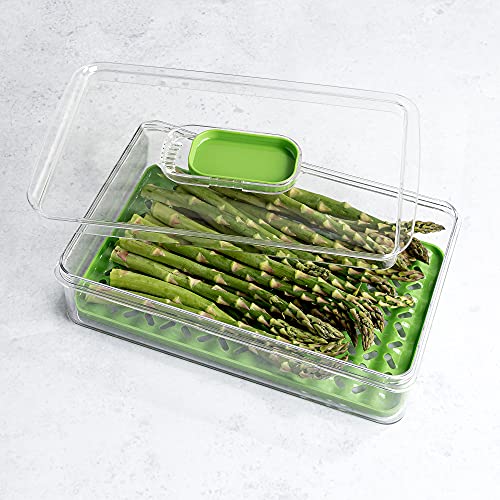 Goodful Produce Keeper, Adjustable Air Vents, Removable Insert/Colander, Durable Food Safe Material, Stackable, Clear and Green, Flat, 11.6" x 6.8" x 2.8"