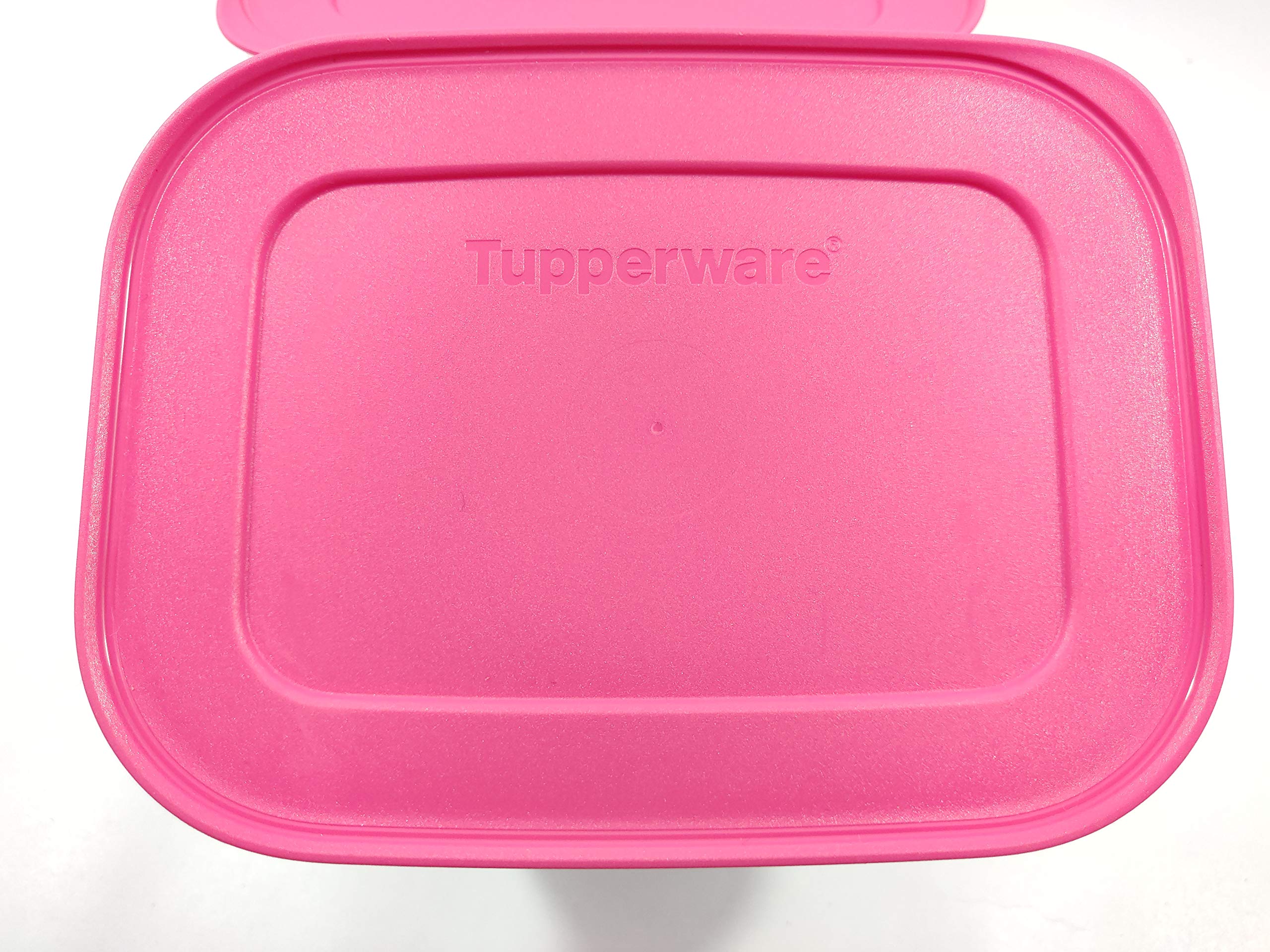 Tupperware Freezer Mate Plastic Container for Fridge and Freezer, 1.1 LTR (Set of 2) with Free Handkerchief
