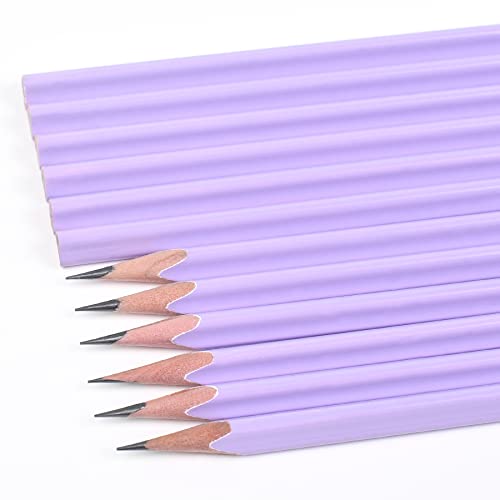 PABLUE HB Graphite Pencils, Triangular Concave Grip Pencils, Fat, Thick, Strong, with Eraser, Sharpener, Suitable for School, Student, Art, Beginner,Drawing,Sketching,Shading(Purple,Pack of 12)
