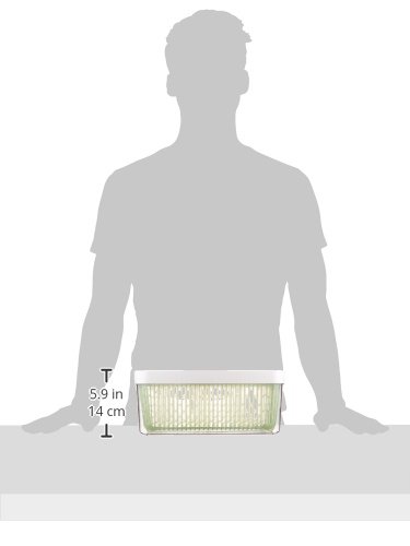 OXO GreenSaver Produce Keeper - Large - Green