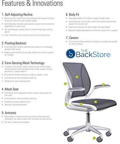 Humanscale Diffrient World Task Chair | Black Pinstrip Mesh Seat and Back | Black Frame, Black Trim | Height-Adjustable Duron Arms | Standard Foam Seat, 3" Carpet Casters, 5" Cylinder